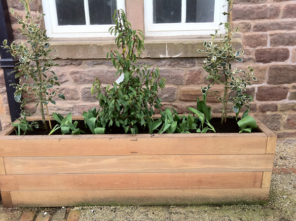 2010 – Court Yard Planters – Friends of Astley Park