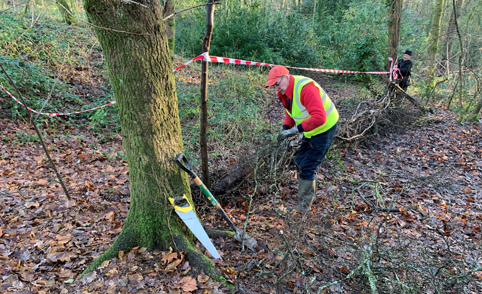 Natural Woodland Barrier – Friends of Astley Park