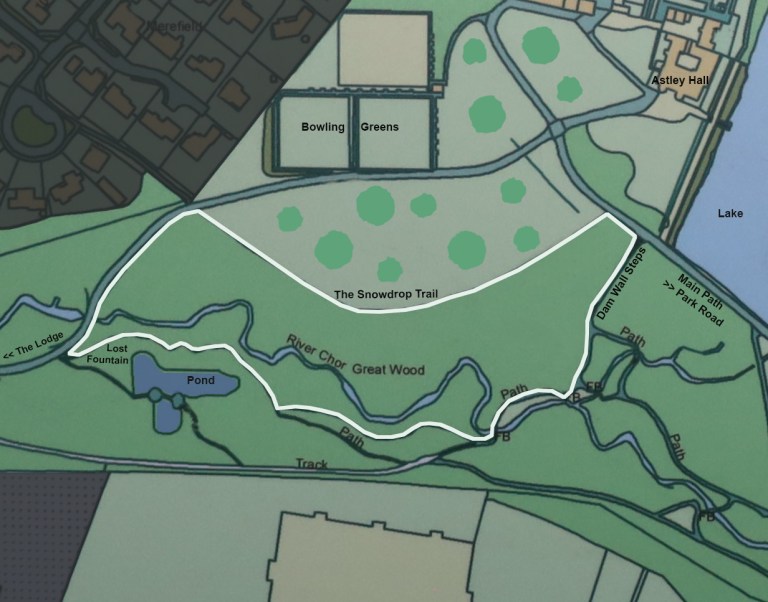 The Snowdrop Trail – Friends of Astley Park