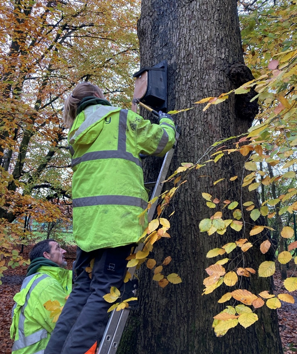 Bird Boxes on Parade – Friends of Astley Park